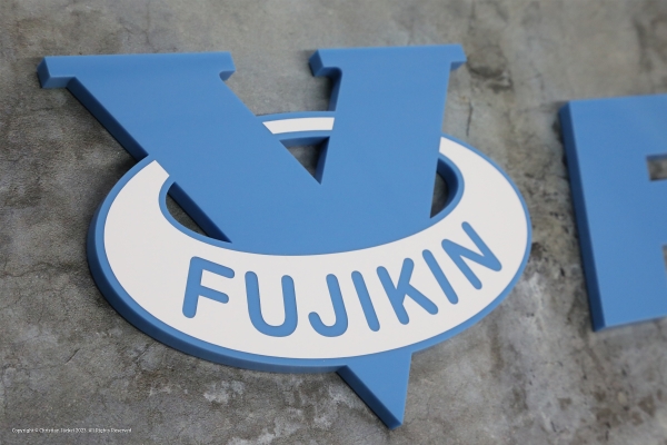 3D Buchstaben und Logos aus durchgefärbtem Acrylglas