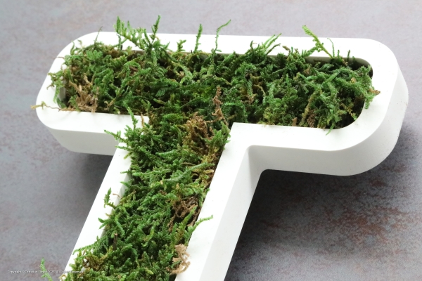 Moos Buchstaben aus Holz